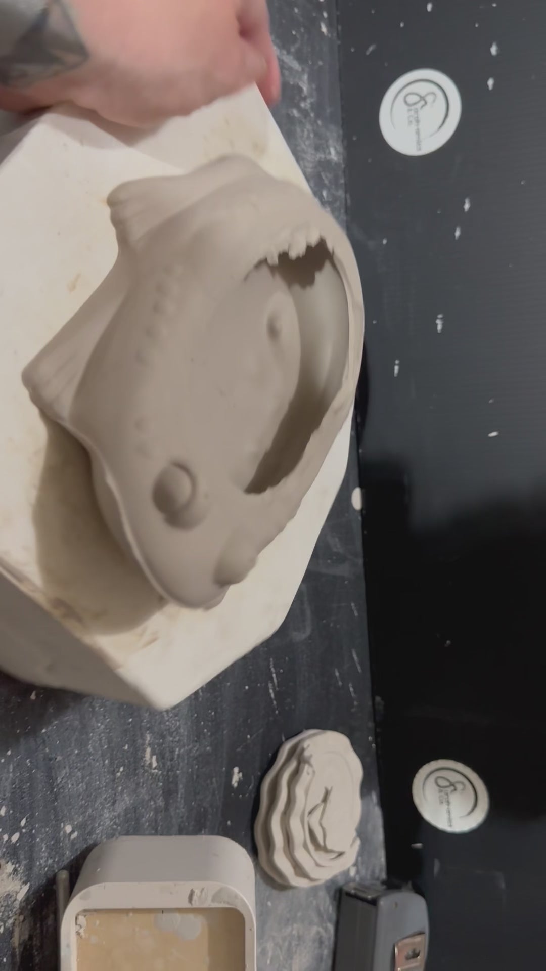 Frog Sponge Bisque – Sarah-amics Co LLC